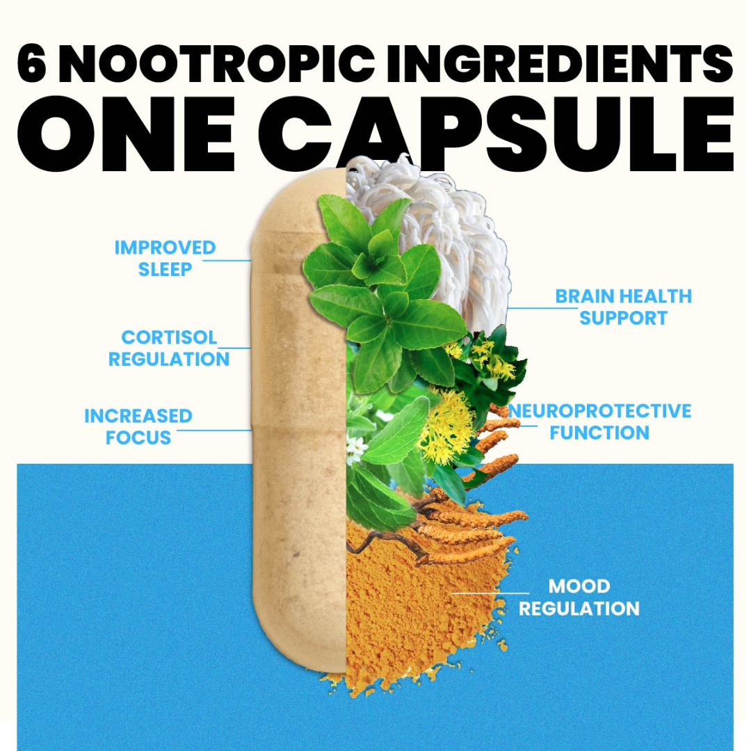 Elevate Nootropics – Unlock Your Potential